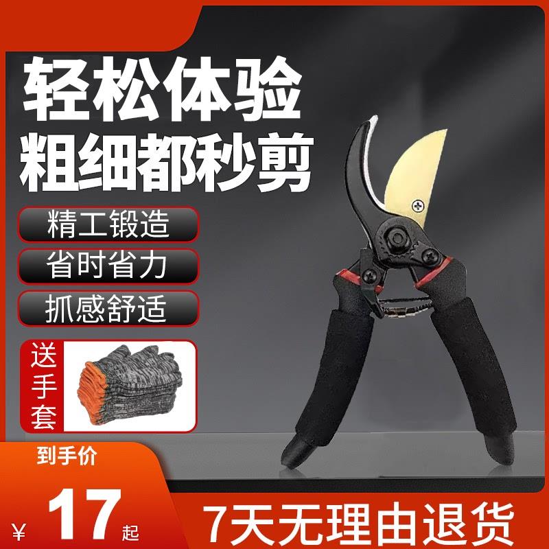 德国工艺sk5强力园艺修枝园林花卉剪修剪景盆手剪树枝多功能剪刀
