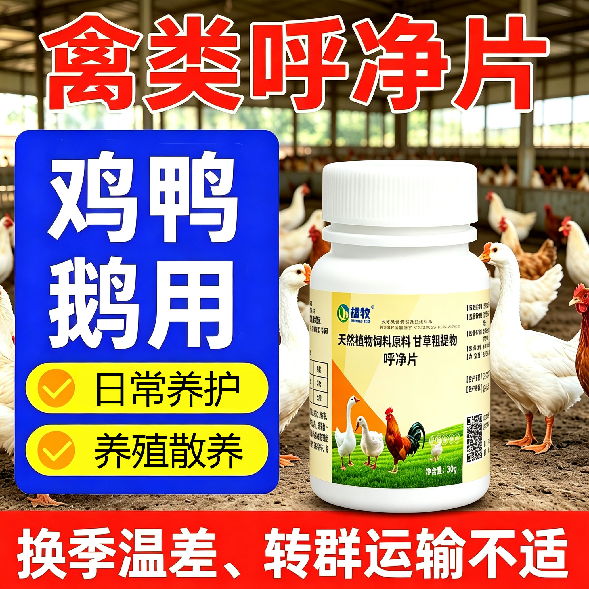 呼净片鸡用乎净片家禽养殖鸡鸭鹅鸽子张口呼喘呼吸急促饲料添加剂