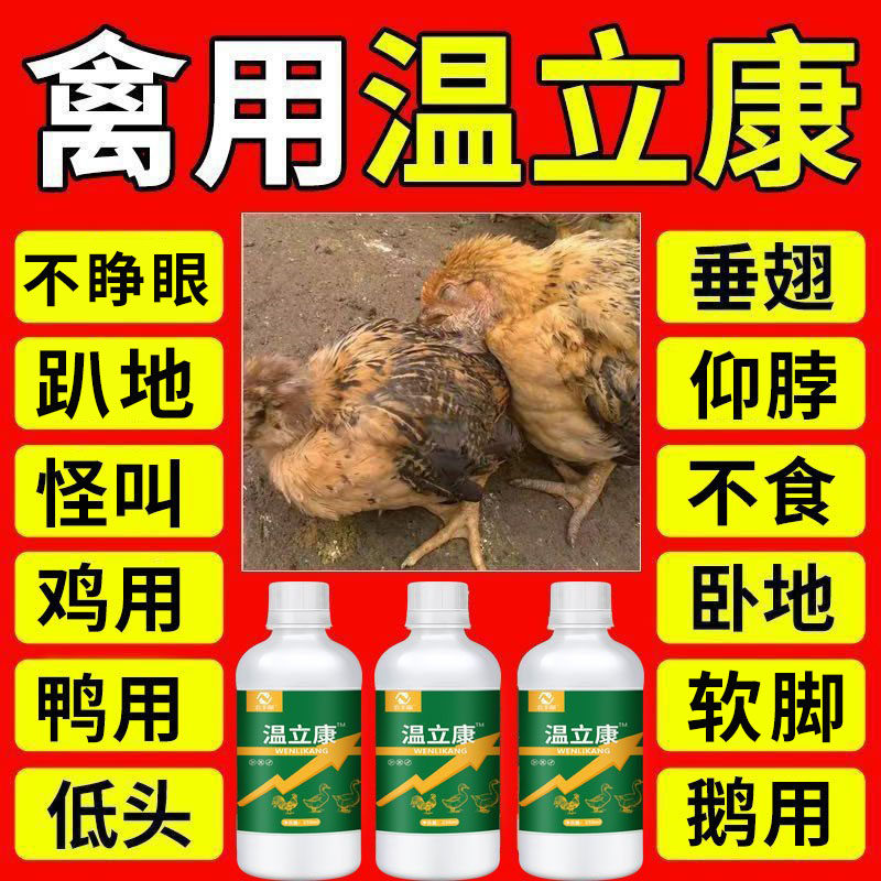 温立康正品养鸡专用鸡鸭鹅禽用羽毛蓬扭脖雏鸡饲料添加剂