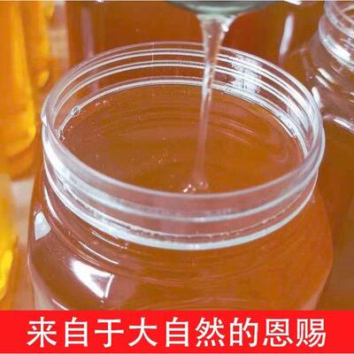 广西蜜土蜂纯ZBH天然农家自百产宗花蜜深山纯正蜂蜜