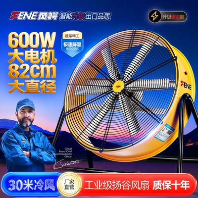 工业级扬谷风扇大功率强风落地扇
