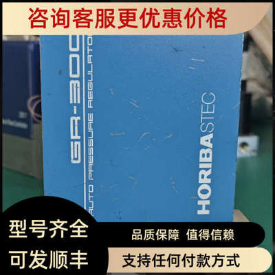 GR-312FHoriba气体压力控制器PC计 He133.33kPa100sccm