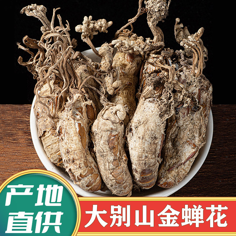 正品野生金蝉花新货中药材500g金蟾花虫草孢子粉知了花金蚕花