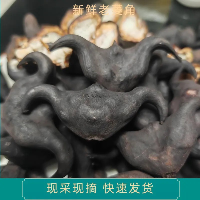 5斤老菱角 湖北特产新鲜菱角 当天摘当天发 二角菱角带壳洪湖青菱