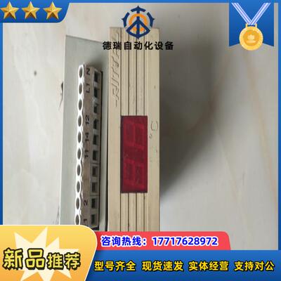 德国原装RITTAL正品数显温控SK3114，，议价