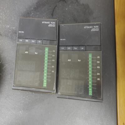 温控仪ES100P-AAH01FE
