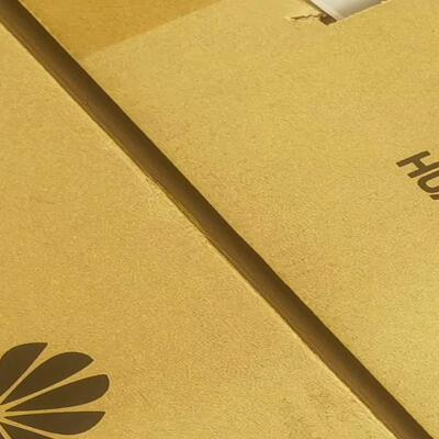 华为SIG9800 IG2D00SPUF21 0305724