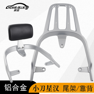 适用于小刀星汉国风版电动车后尾架靠背TDT23315Z靠垫衣尾箱货架