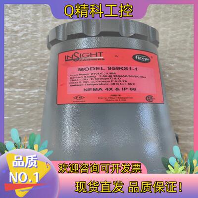 现货95IRS1-1火焰探测器fireye供应24VD