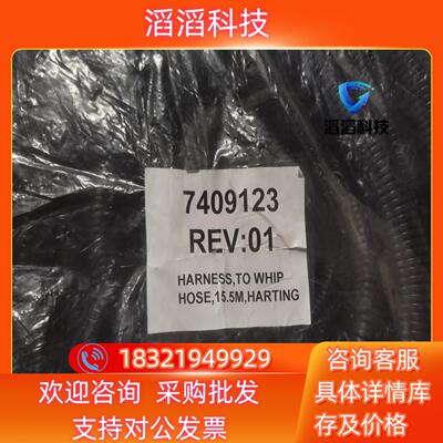 现货7409123REV:01 HARNESS,TO WHIP