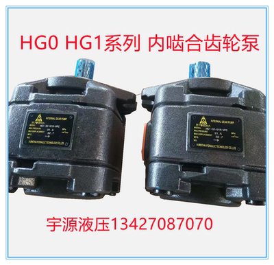 内啮合齿轮泵 高压油泵HG0-8 10 13 16 20 25 HG1-32 40-01R-VPC