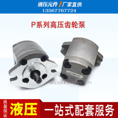 高压齿轮泵P101 P102 P135 P104 P105 P106 P107 P109 P127RP01GT