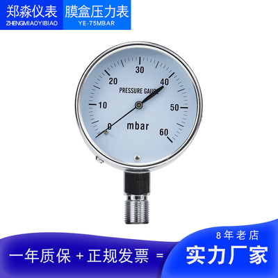 过压防止型压力表 过压保护型 YE-75 MBAR系列 量程齐全