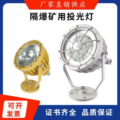DGS60防爆立座固定式壁式led大功率隔爆深照投光灯投射远射工矿灯