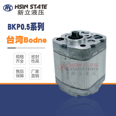齿轮泵BKP0.5B0D0.16G0L0-B/D0.75/D0.65/D1/D1.5/D1.75/2.0G0L0B