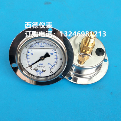 背式带边充油压力表模温