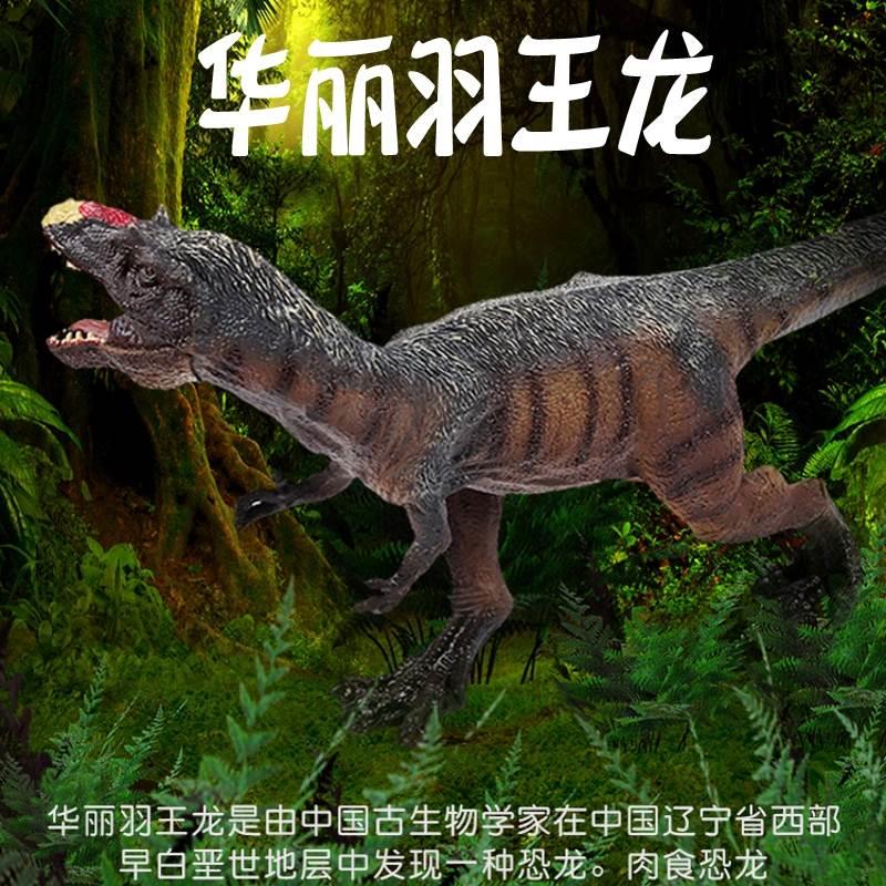 林畅模玩儿童塑胶恐龙模型华丽羽王龙尾羽暴龙玩具仿真动物套装