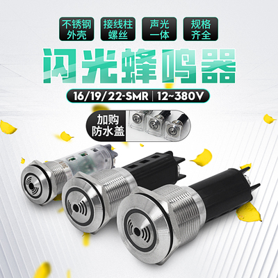 金属蜂鸣器 19mm 22mm不锈钢闪光报警器16mmLED声光报警器24v 12v