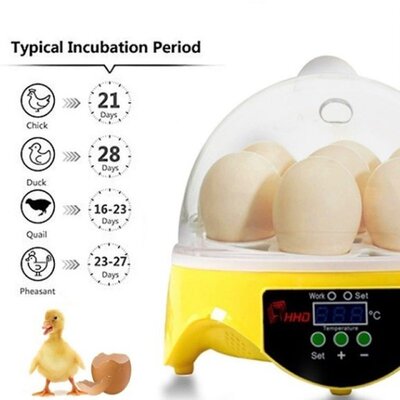 Digital Eggs Incubator Brood Machine Duck Egg Hatcher Electr