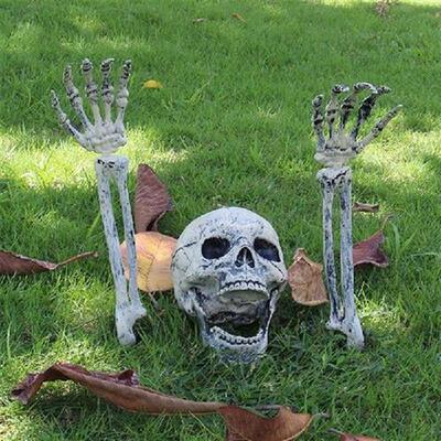Halloween Realistic Skull Skeleton Head Human Hand Arms for