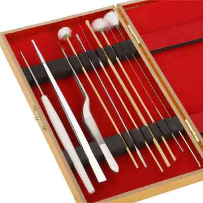 Professional 10Pcs Ear Care Curette Kit Set Health Ear Pick