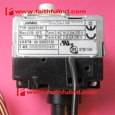 议价Jumo 60003136 久茂全新温度传感器 heatTHERM 602031/81 130