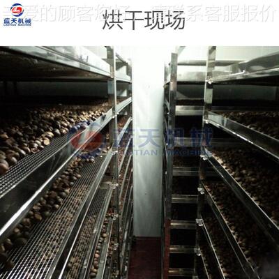 茶果干机 大型茶树EWI果山茶果子生物质干颗粒烘设干备 茶油烘果