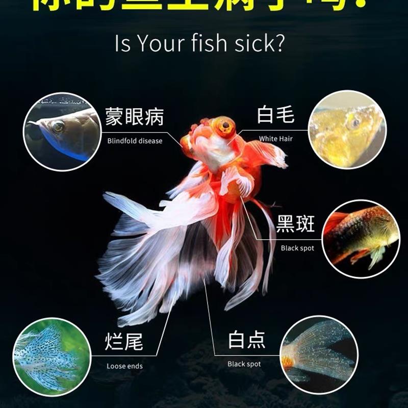 水族观赏鱼 庆大霉素