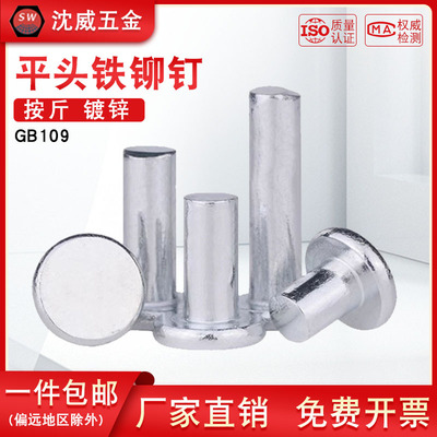GB109镀锌平头铁铆钉敲击式实心铆钉平帽卯钉按斤卖M2M2.5M3M4-M6