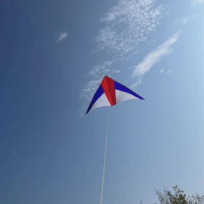 潍坊kite风筝厂家直销量大优红白大三角大草原树枝杆微风易飞金鹏