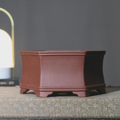 老冯长根紫砂花盆紫泥海棠盆手工盆六方形六角形日式盆景盆小盆