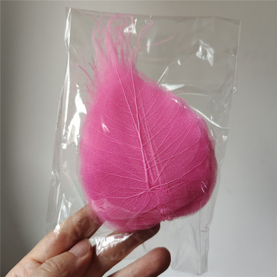 菩提叶树叶画叶子diy装饰画画干树叶手工贴画叶子天然叶脉