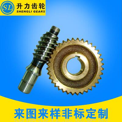 厂家供应升力sl-013精密微型蜗杆蜗轮双导程蜗杆蜗轮加工