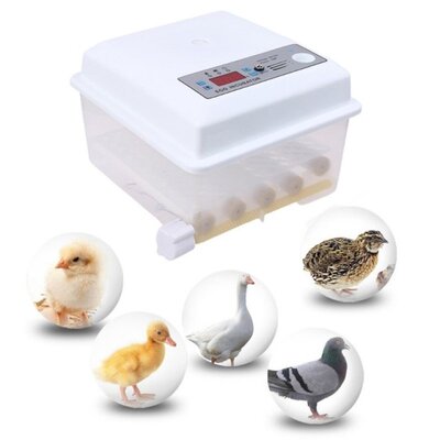 220V Eggs Incubator Brooder Birds Quail Chick Hatchery Poult
