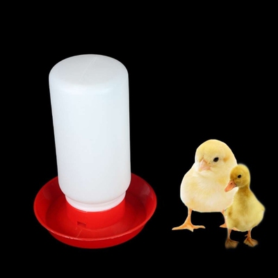 62KC Chick Waterer Feeder Plastic Gravity Fed Poultry