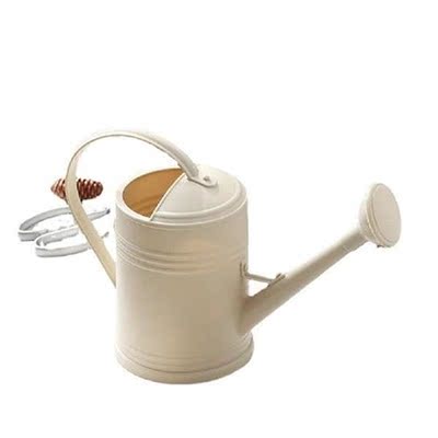 Flower Watering Can Watering Can Flower Plant Sprinkler