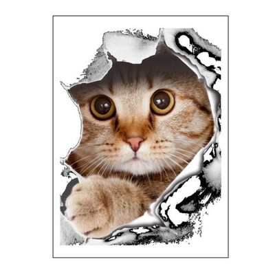 Novelty Cute Kitten Pattern Toilet Stickers Bathroom Wall Ho