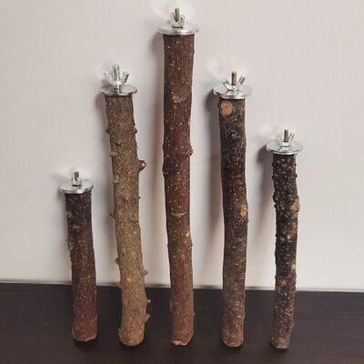 10 Pcs Bird Stand Parrot Toy Bird Cage Platform Bird Rest