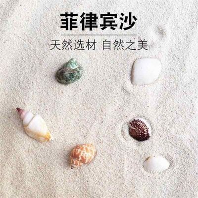 寄居蟹专用沙天然海沙海缸珊瑚沙沙蟹专用沙菲律宾沙贝壳白细底沙