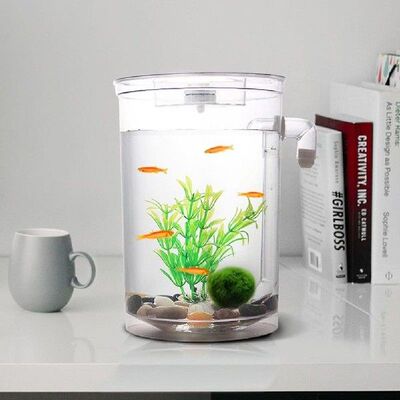 Ecological Fish Tank Small Aquarium Mini Goldfish Bowl