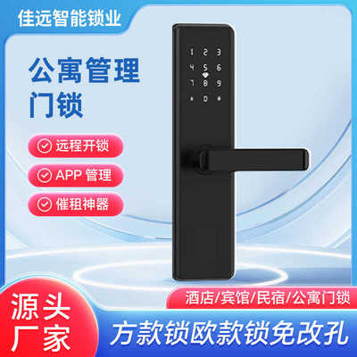 家用防盗门电子锁摩坚