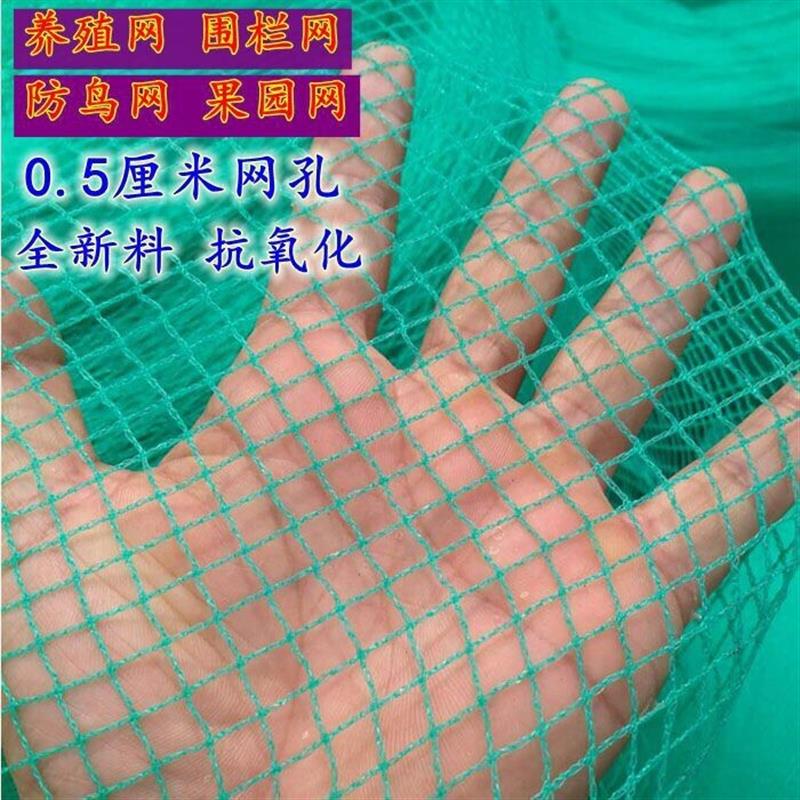 养鸡网网箱养殖网专用天网果园防鸟尼龙网鱼网拉网家小孔围栏户外