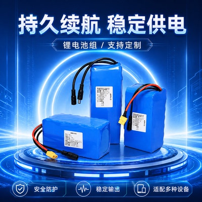 诺详磷酸铁锂电池24v大容量