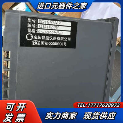 东辉仪表DY2000 智能数字显示仪DY21E9966P 量议价
