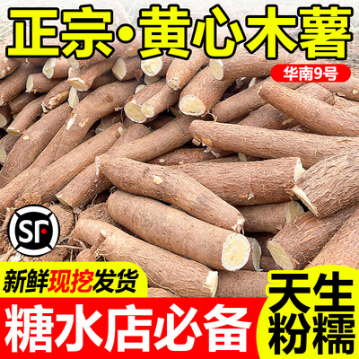 广东黄心木薯华南9号顺丰包邮