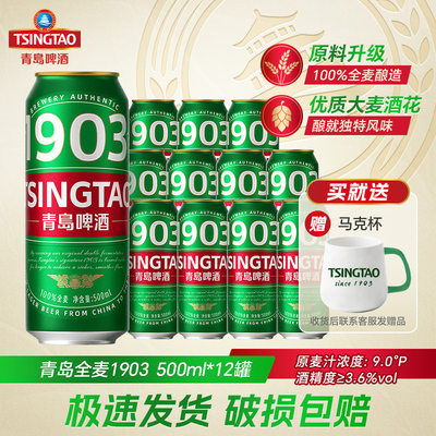 【肖战推荐】青岛啤酒全麦1903精酿啤酒500ml*12听