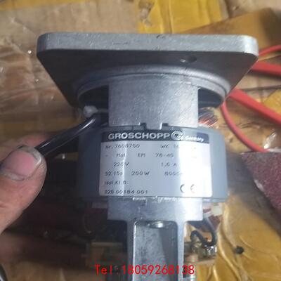 【非标价】德国GROSCHOPP220Ⅴ高速电机8000转200W