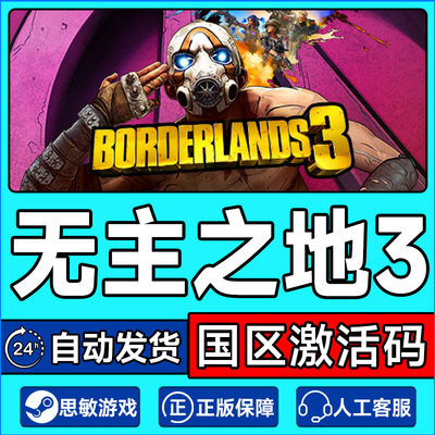 steam游戏 无主之地3 Borderlands 3 国区激活码 CDKEY PC正版