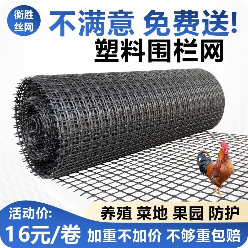 养鸡塑料网格围栏网养殖网鱼塘防护网围栏圈地家用菜园塑料围鸡网