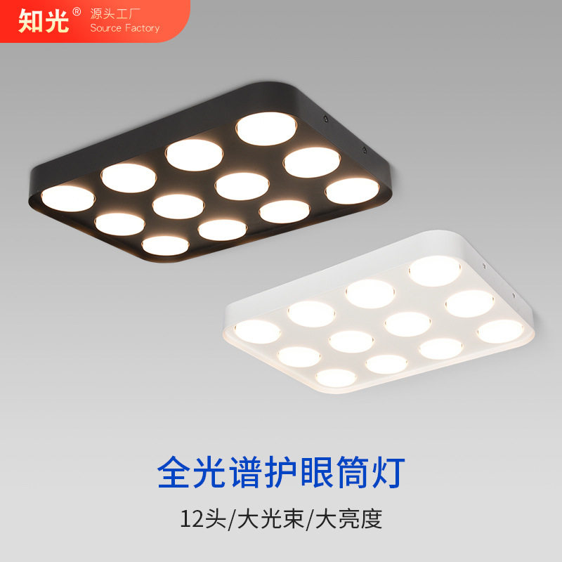 明装筒灯GX53替换光源可调角度无主灯客厅灯照明斗胆灯12头吸顶灯
